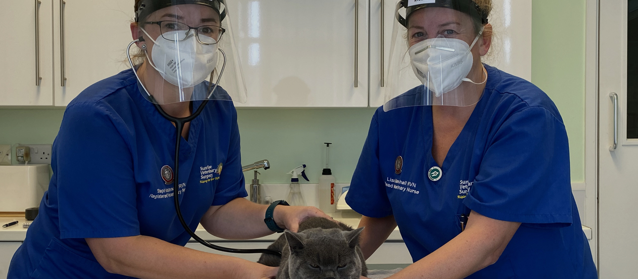 Safety Protocol - Sunrise Veterinary Surgery